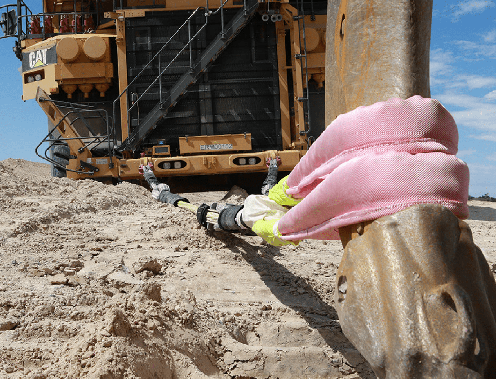 Brands - Cortland International Development